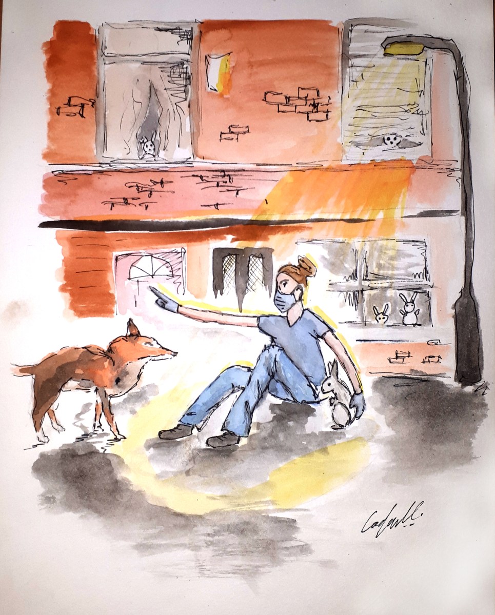 Protection – Life After Lockdown